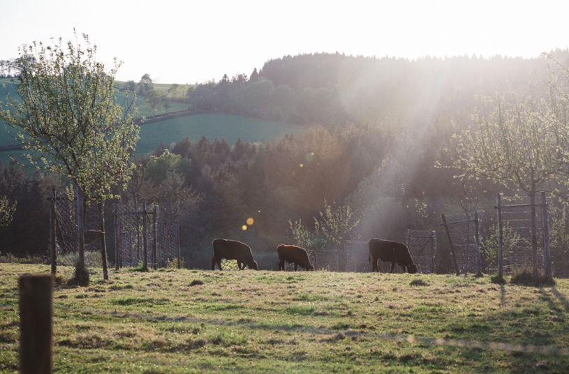 Grounds & Facilities - Middle Coombe Farm